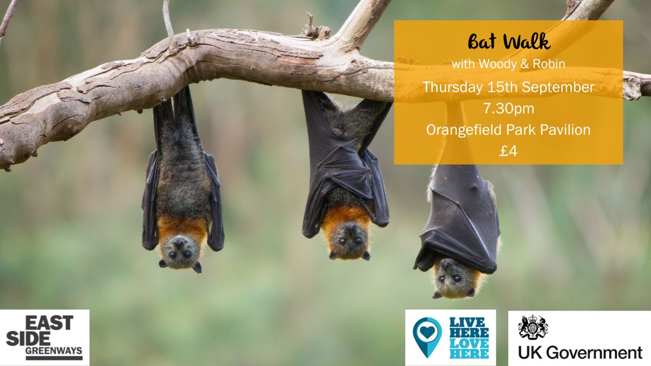 Bat Walk and Talk – EastSide Greenways